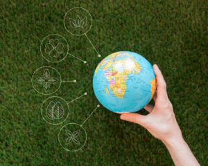 Centella asiatica (Mandukaparni) - GreenSpace